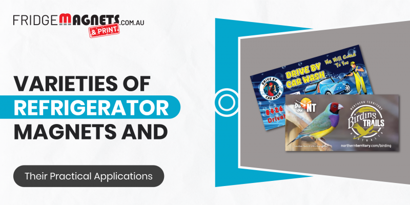 Different Types of Fridge Magnets and Their Practical Uses - Fridge Magnet